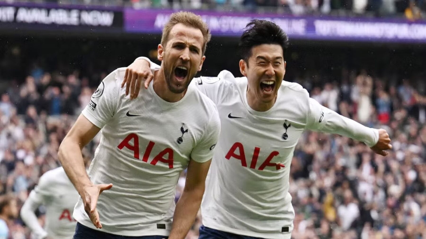 ¿Cuánto paga Tottenham Hotspur vs Everton?: cuotas y predicciones por ...