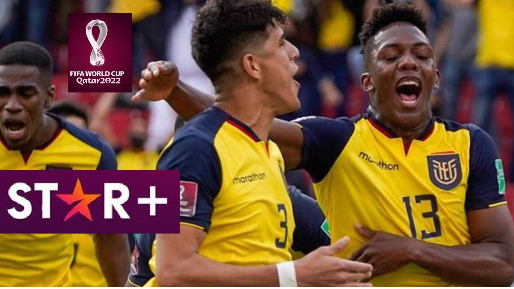 STAR PLUS Mundial 2022: Catar vs Ecuador EN VIVO HOY - Infozport